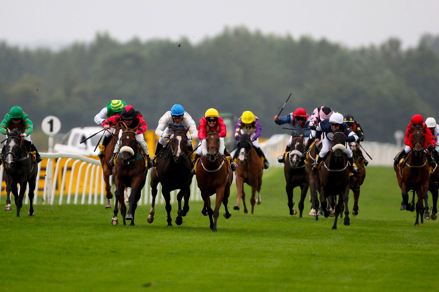 Horse Betting Tips: How to Read a Racecard