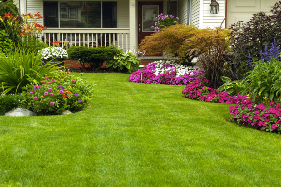 Transform Your Outdoor Space with Inspired Landscape Design in Adelaide